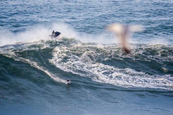 German Big Wave Surfer Sebastian Steudtner Editorial Stock Photo ...