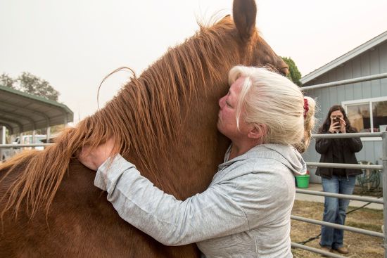 Hillary Johnson Who Had Lost Her Editorial Stock Photo - Stock Image ...