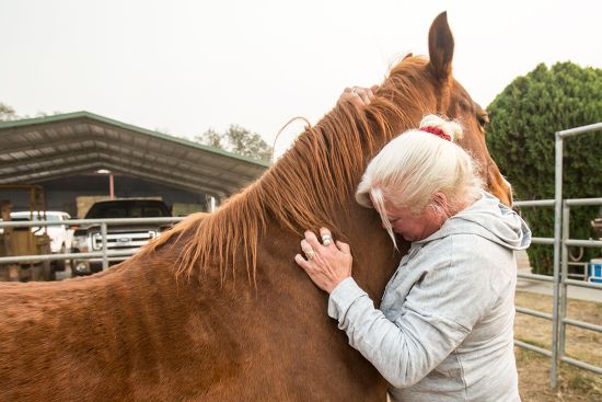 Hillary Johnson Who Had Lost Her Editorial Stock Photo - Stock Image ...