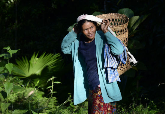 Lotha Naga Tribal Woman Out Her Editorial Stock Photo - Stock Image ...