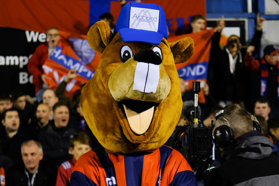 Hampton Mascot Bertie Beaver During Hampton Editorial Stock Photo ...