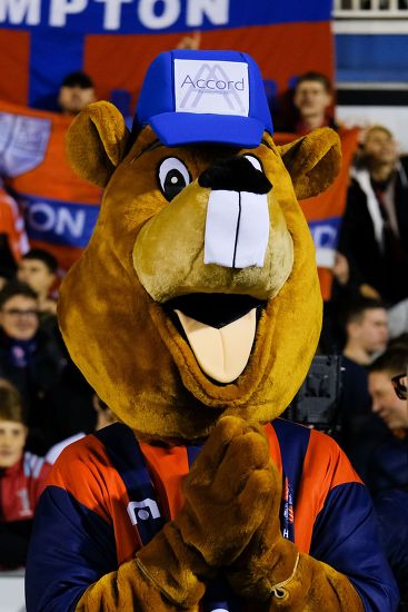 Hampton Mascot Bertie Beaver During Hampton Editorial Stock Photo ...