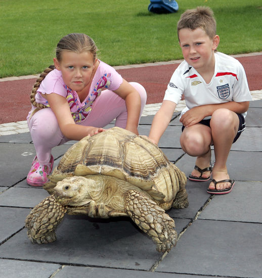 7 Year Old Charlotte Todd Friend Editorial Stock Photo - Stock Image ...