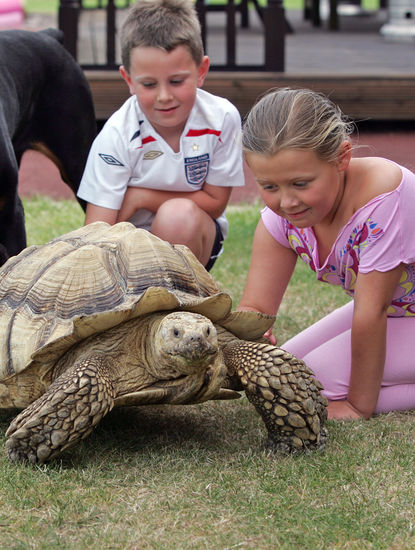 7 Year Old Charlotte Todd Friend Editorial Stock Photo - Stock Image ...