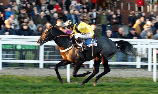 Elixir De Nutz Harry Cobden Wins Editorial Stock Photo - Stock Image ...