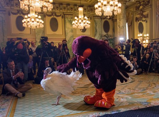 Virginia Tech Mascot Hokiebird Helps Officials Editorial Stock Photo ...