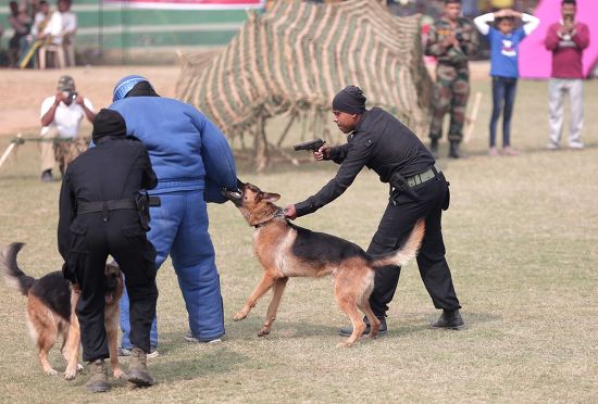 Kolkata Police Commandos Perform Mock Anti Editorial Stock Photo ...