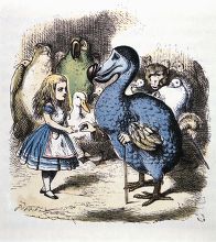 Alice Dodo Alices Adventure Wonderland By Editorial Stock Photo - Stock ...
