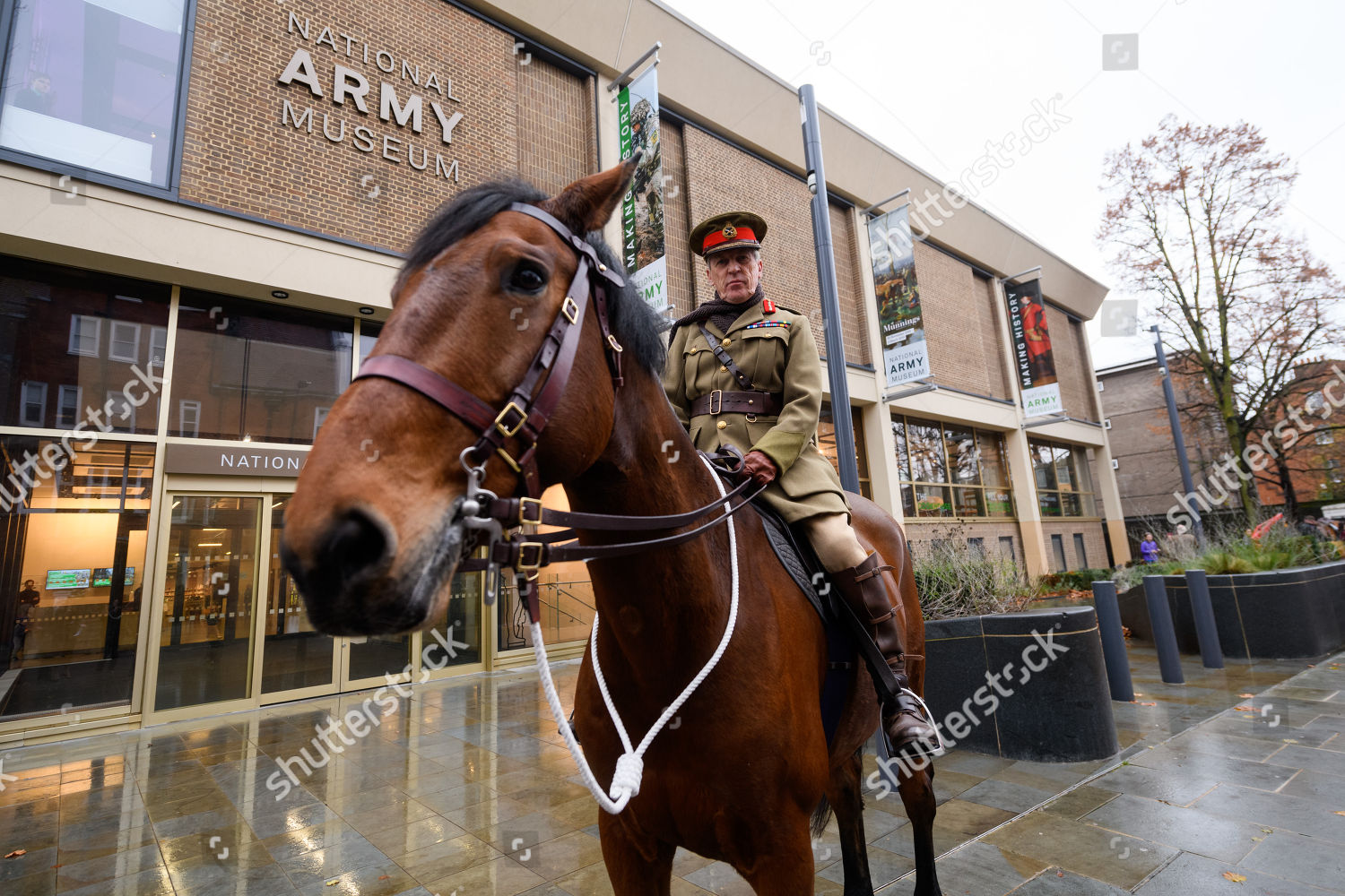 Brough Scott Mbe Horse Atticus Editorial Stock Photo - Stock Image ...