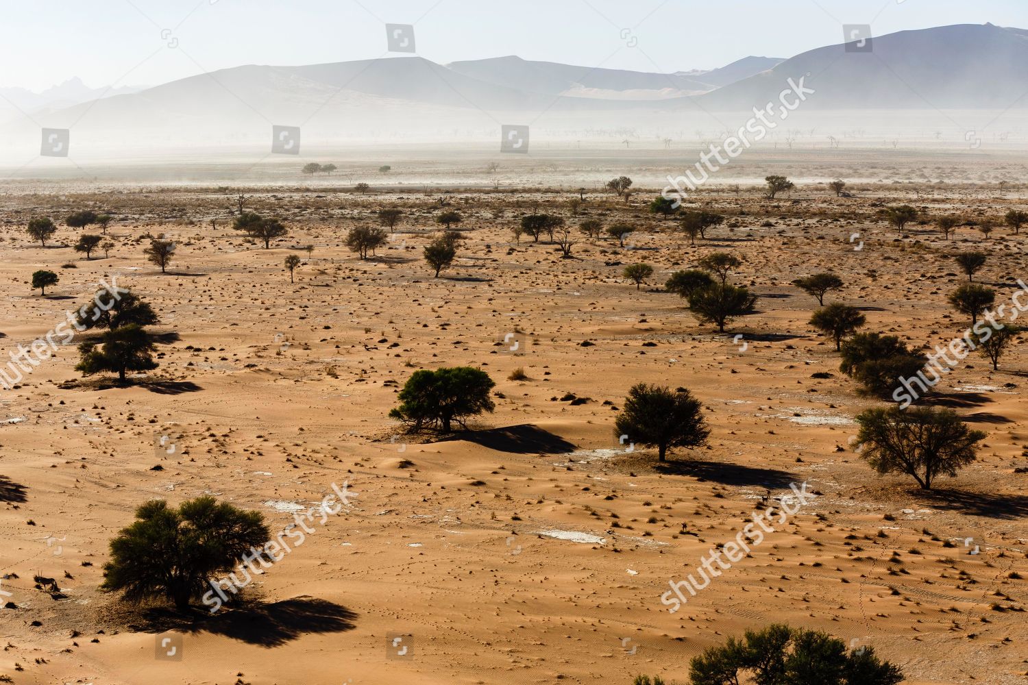 Aerial View Sandstorm Namib Desert Sossusvlei Editorial Stock Photo ...