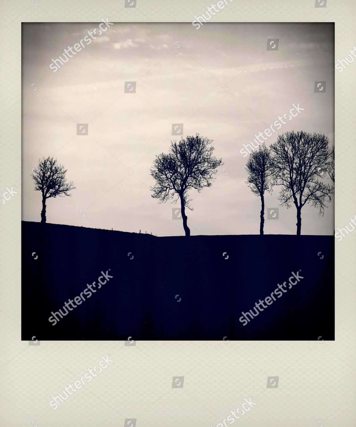 POLAROID EFFECT TREES COUNTRYSIDE FRANCE Editorial Stock Photo - Stock ...