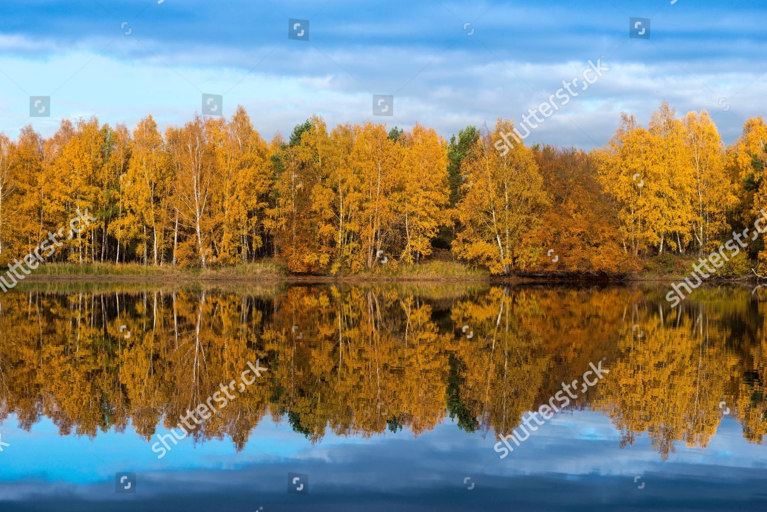 Colourfully Coloured Autumn Forest Water Reflection Editorial Stock ...