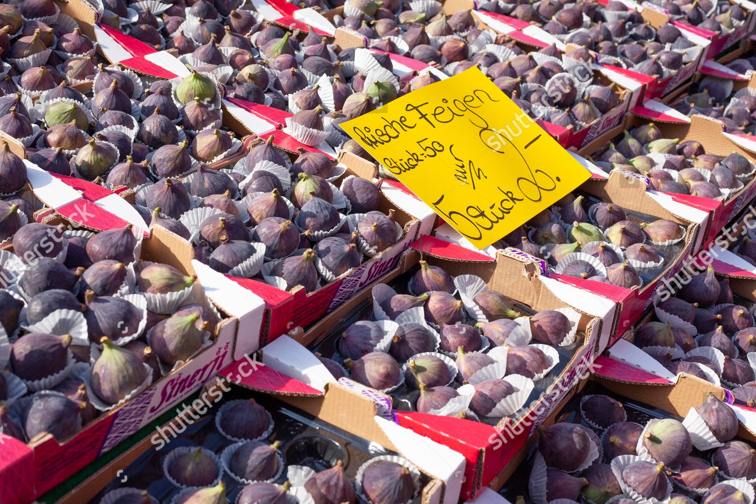Fresh Figs Price Tag Cartons Market Editorial Stock Photo - Stock Image ...