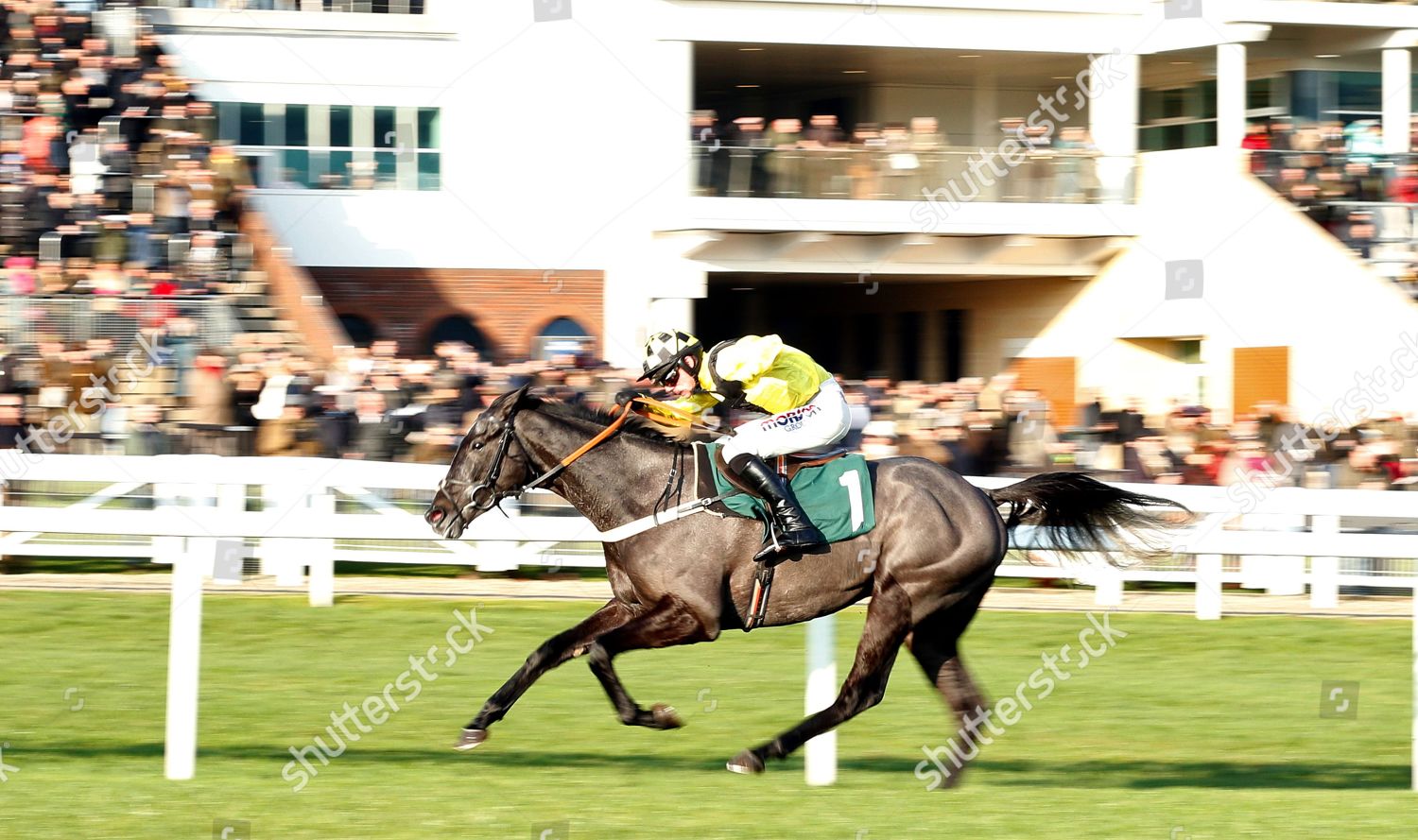 Elixir De Nutz Harry Cobden Wins Editorial Stock Photo - Stock Image ...