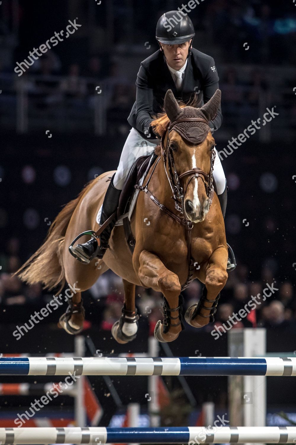 Shane Breen Ireland Rides His Horse Editorial Stock Photo - Stock Image ...
