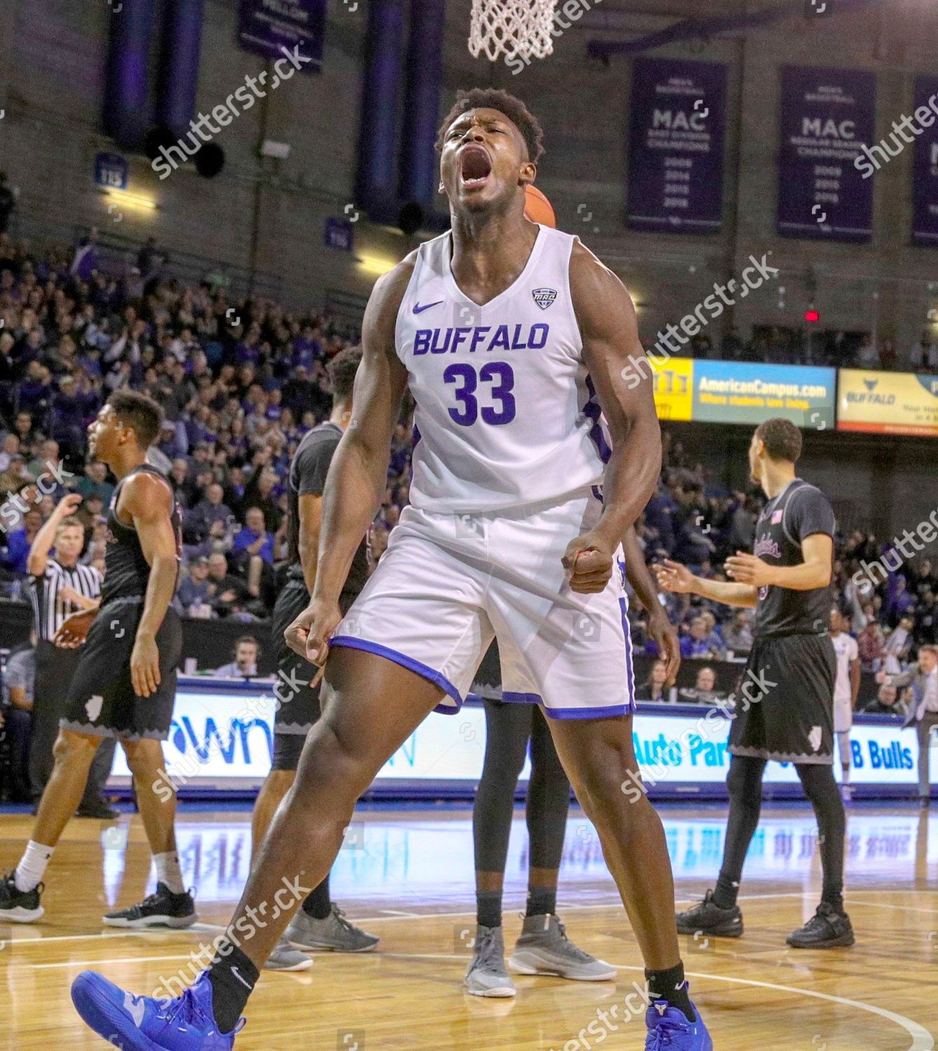Buffalo Bulls Forward Nick Perkins 33 Editorial Stock Photo - Stock ...