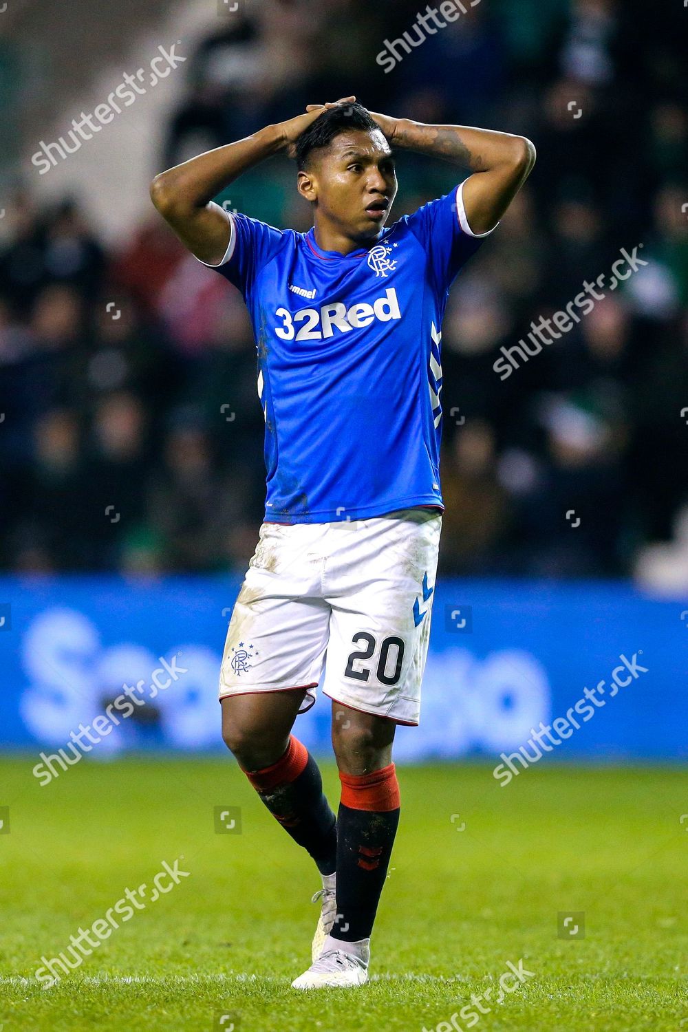 Alfredo Morelos 20 Rangers Puts His Editorial Stock Photo - Stock Image ...