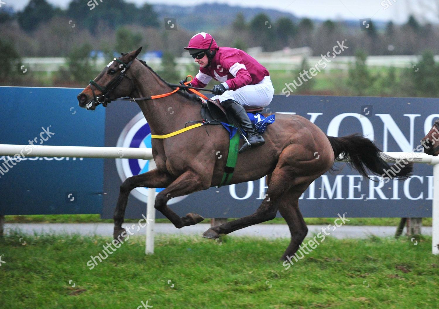 Limerick Active Force Mark Ohare Win Editorial Stock Photo - Stock ...