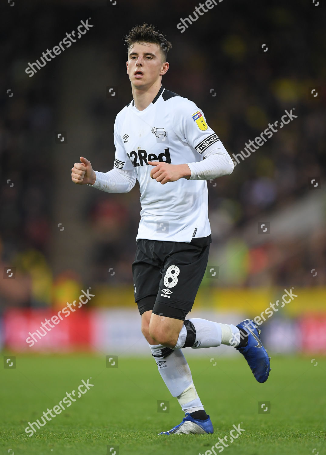 Mason Mount Derby County Editorial Stock Photo - Stock Image | Shutterstock
