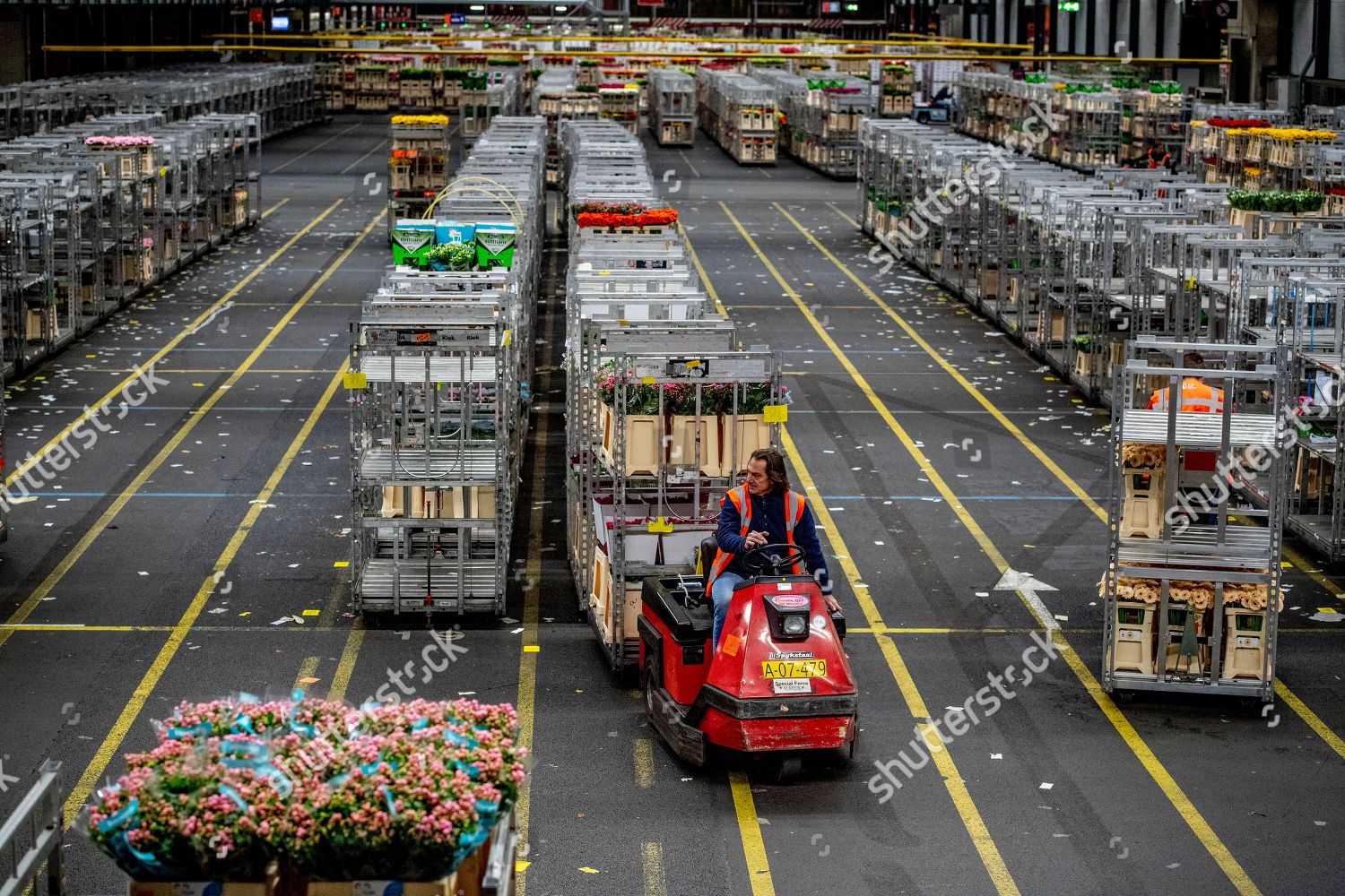 Royal Floraholland Flower Auction Editorial Stock Photo - Stock Image ...