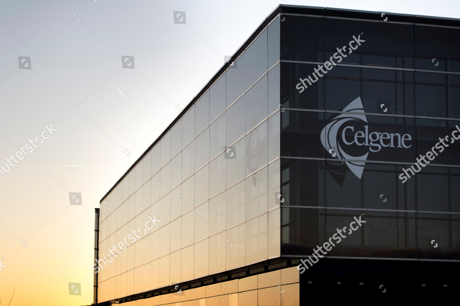 Logo Us Biopharmaceutical Company Celgene Pictured Editorial Stock ...