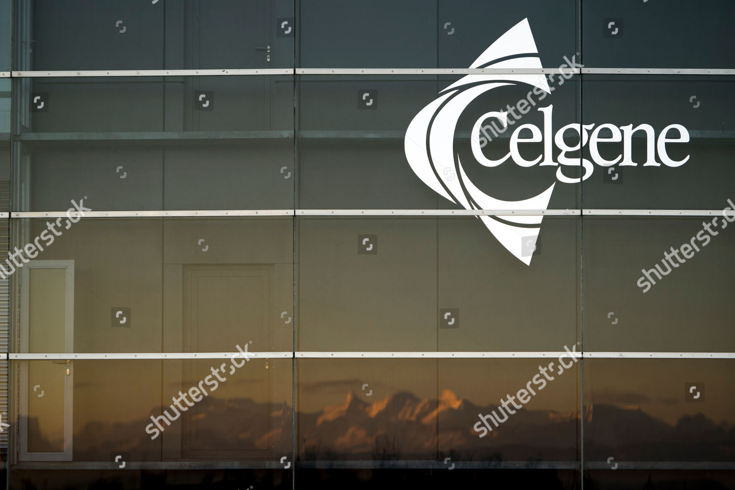 Logo Us Biopharmaceutical Company Celgene Pictured Editorial Stock ...