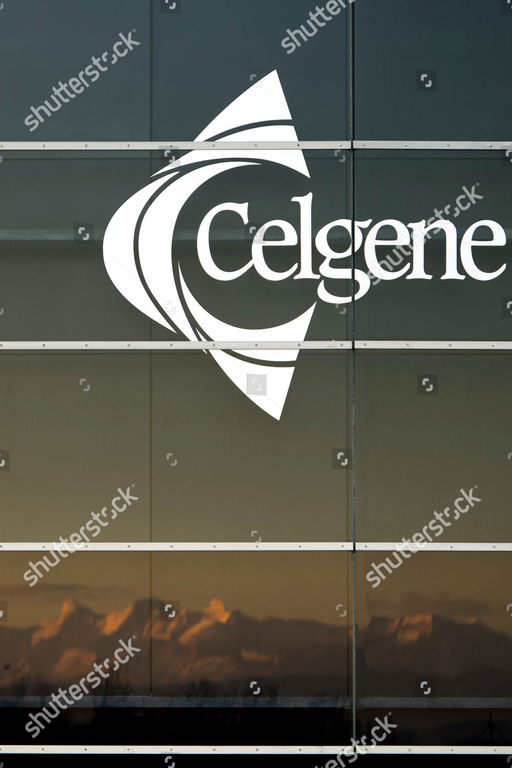 Logo Us Biopharmaceutical Company Celgene Pictured Editorial Stock ...