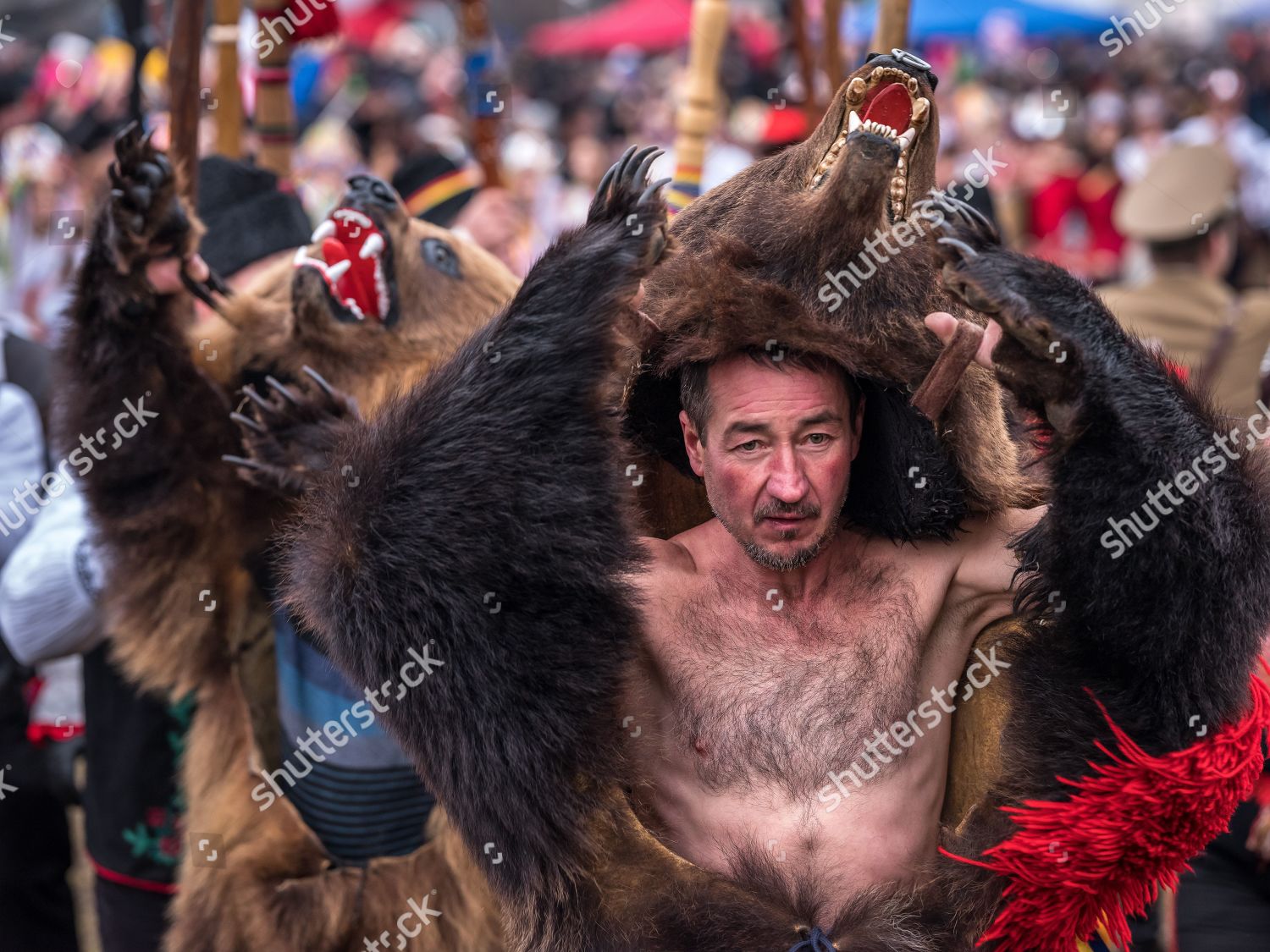 Bearchested Man His Bear Skin Suit Editorial Stock Photo - Stock Image ...