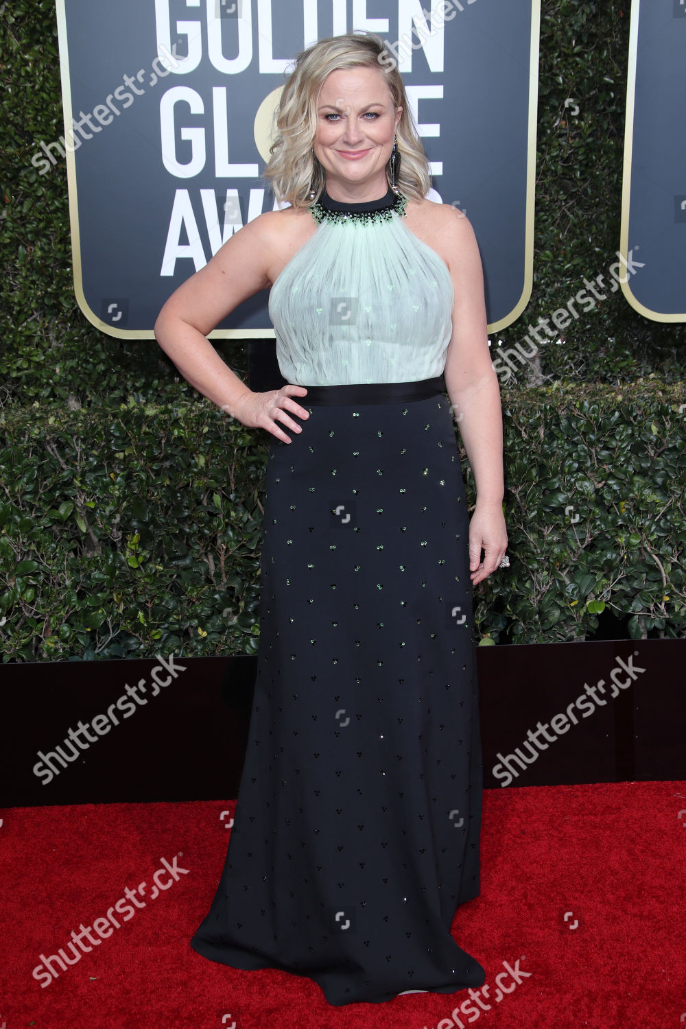 Amy Poehler Editorial Stock Photo - Stock Image | Shutterstock