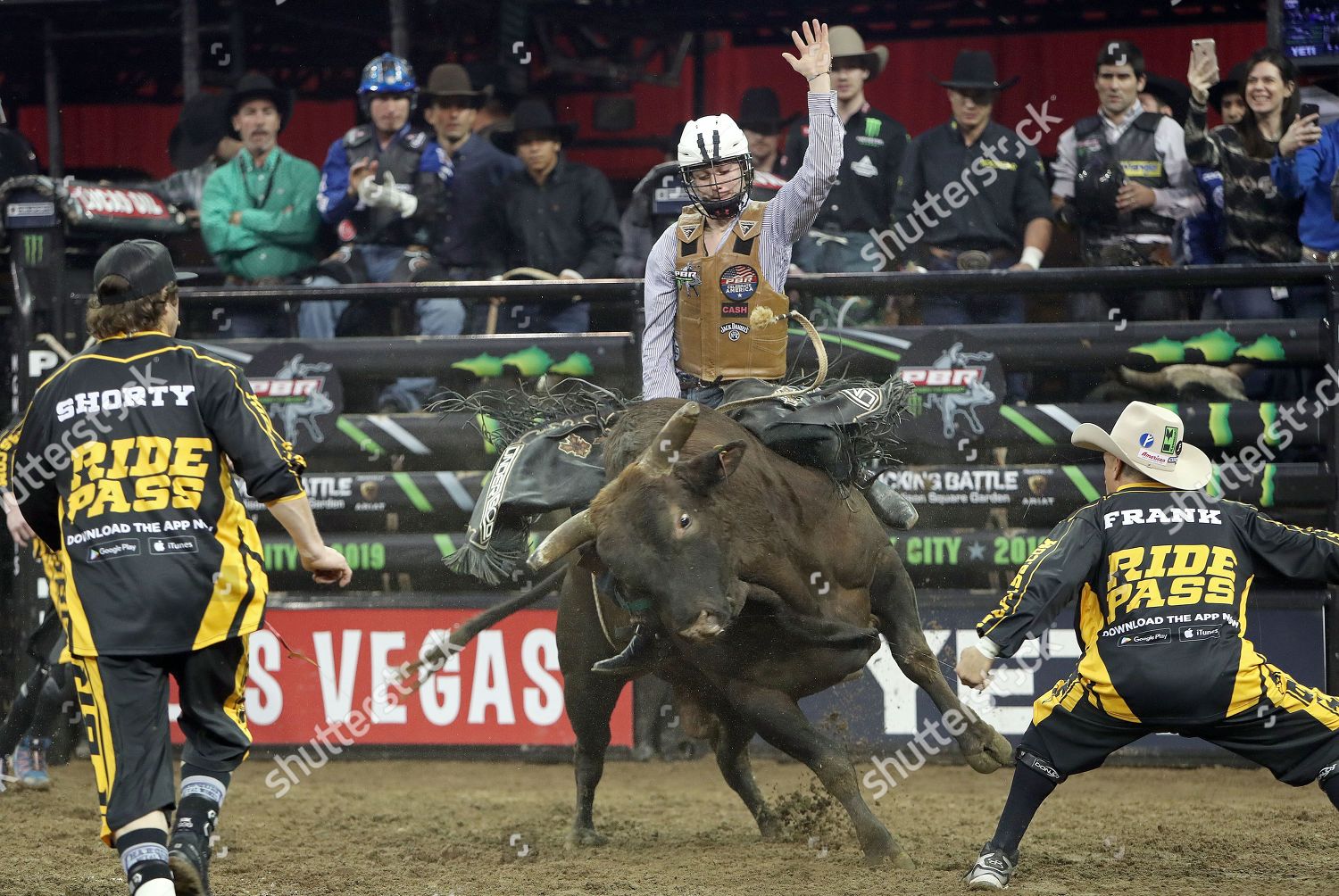 Safety Men Try Help Professional Bull Editorial Stock Photo - Stock ...