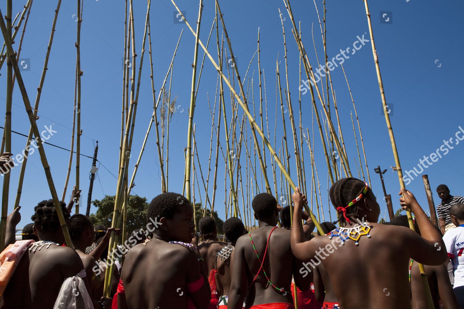 Zulu Maidens Perform Annual Reed Dance Editorial Stock Photo - Stock ...