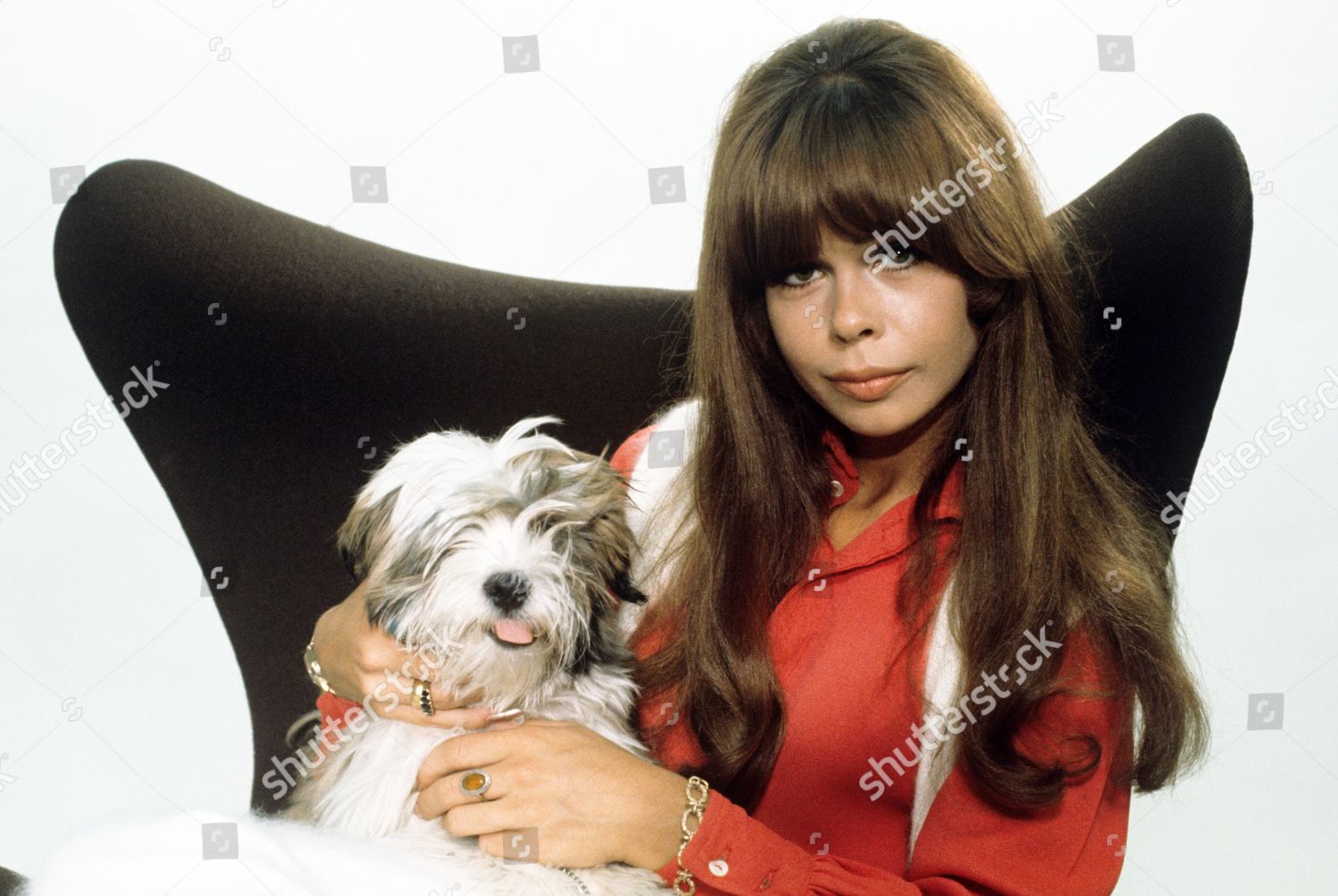 Penny Spencer Editorial Stock Photo - Stock Image | Shutterstock