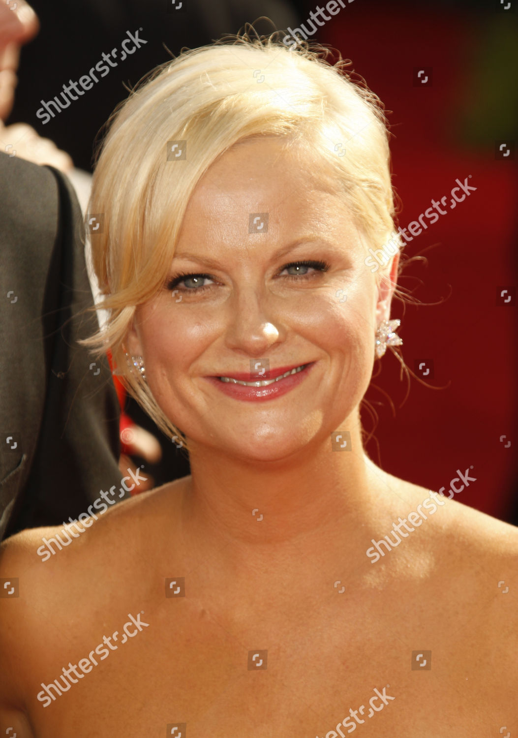 Amy Poehler Editorial Stock Photo - Stock Image | Shutterstock