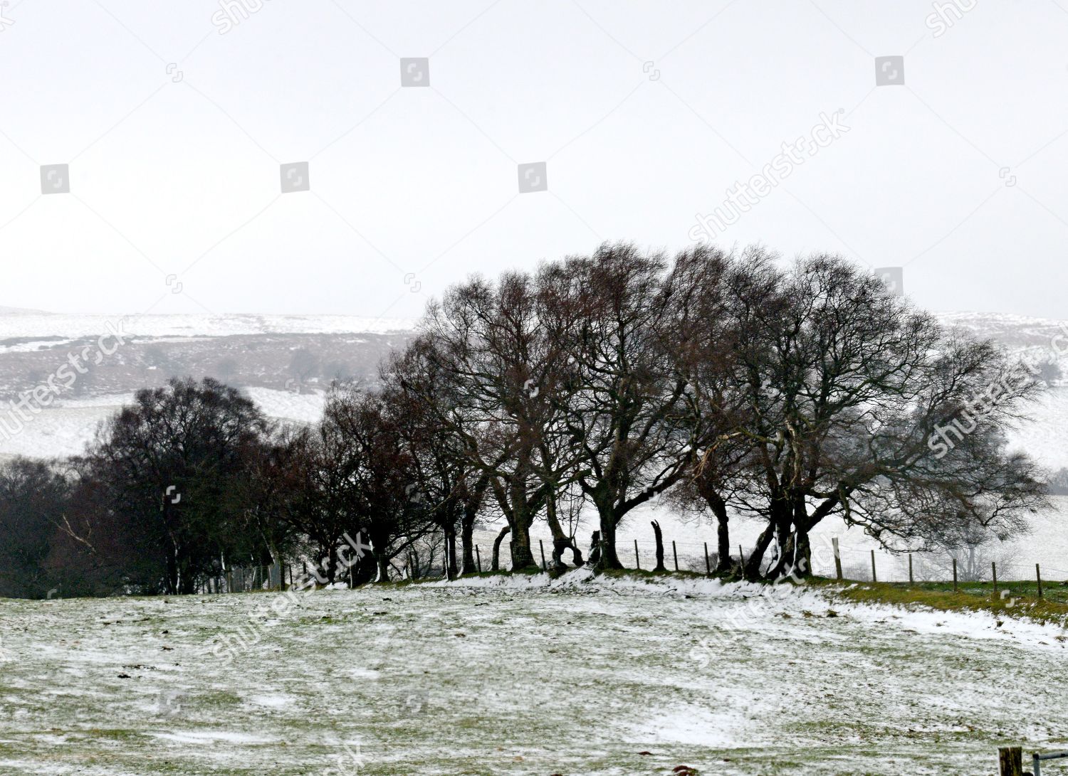 Bleak Wintry Conditions More Snow Starts Editorial Stock Photo - Stock ...