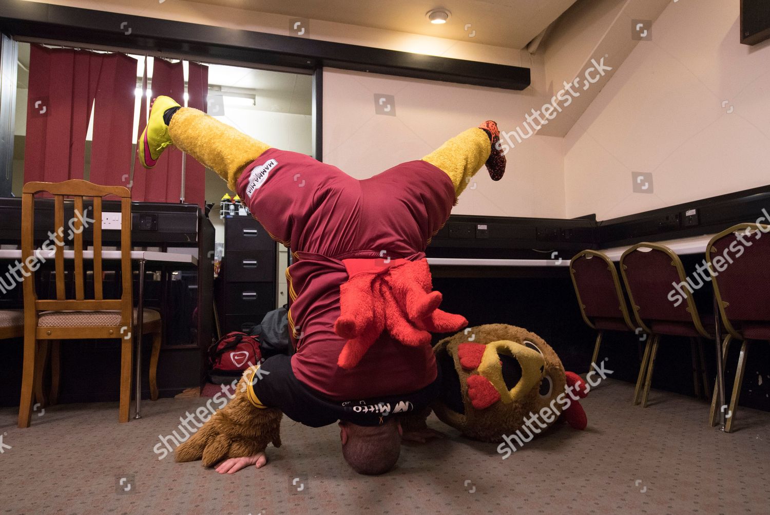 Billy Bantam Bradford City Mascot Goes Editorial Stock Photo - Stock ...