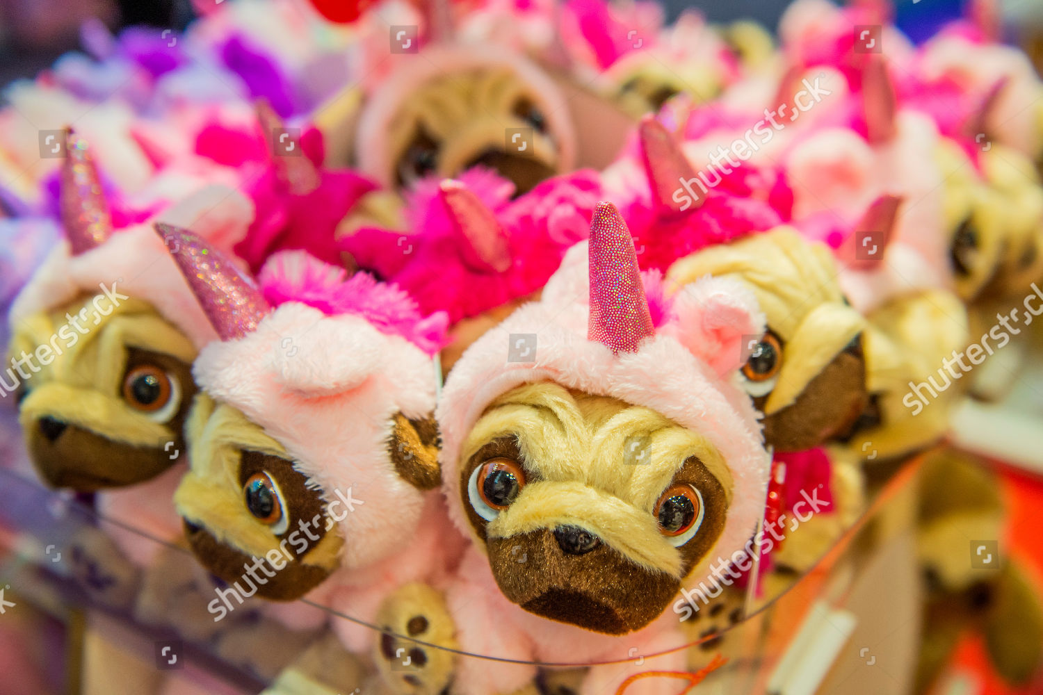 Pugsley Soft Toys On Keel Toys Editorial Stock Photo - Stock Image ...