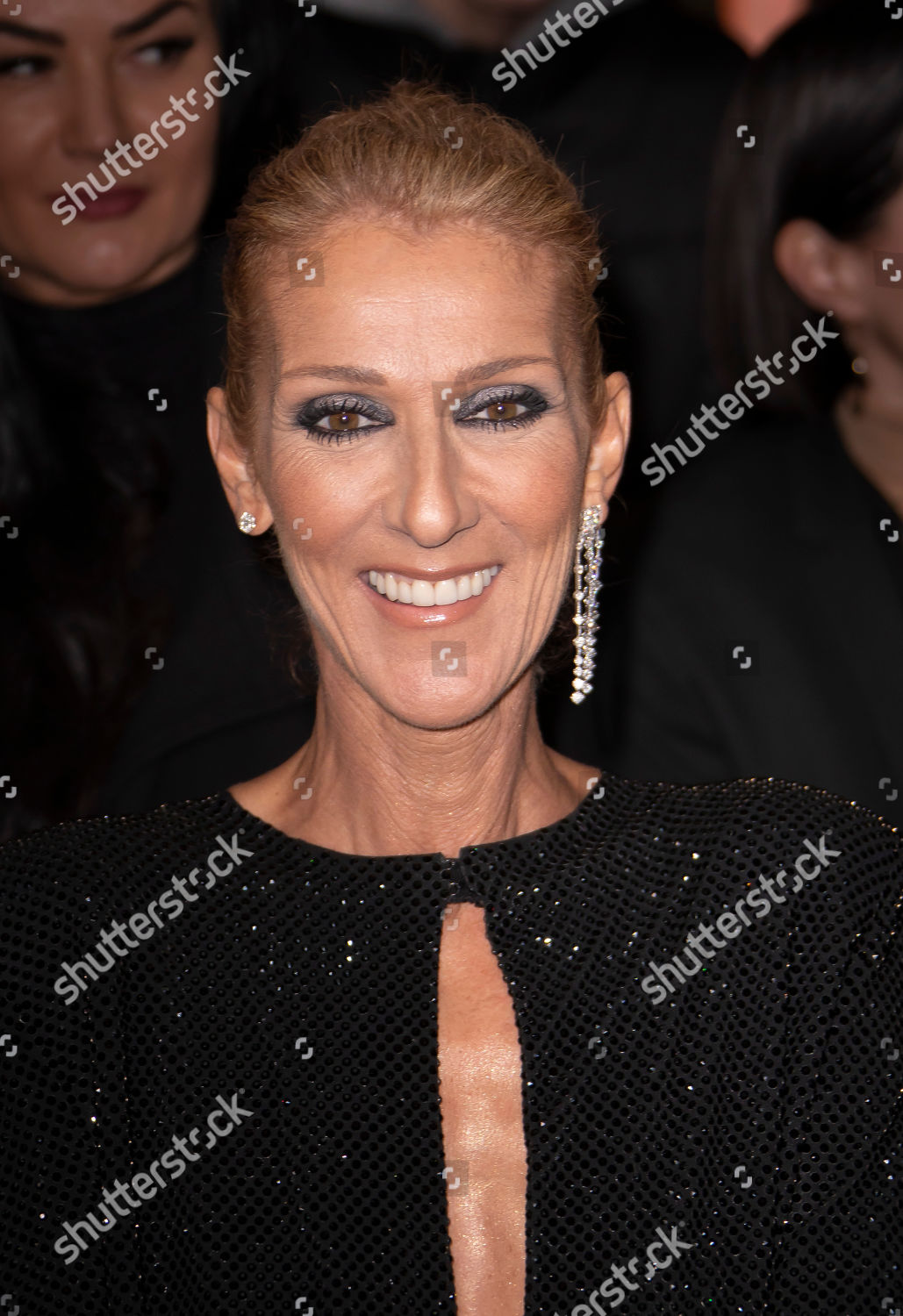 Celine Dion Front Row Editorial Stock Photo - Stock Image | Shutterstock
