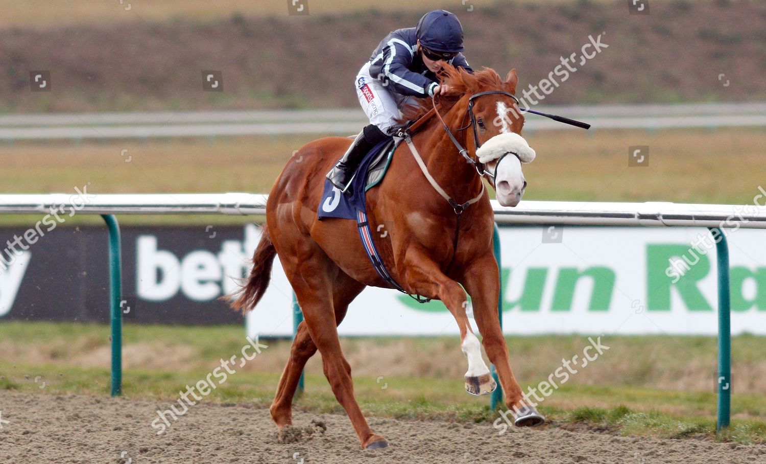 Harvey Dent Hollie Doyle Wins Ladbrokes Editorial Stock Photo - Stock ...