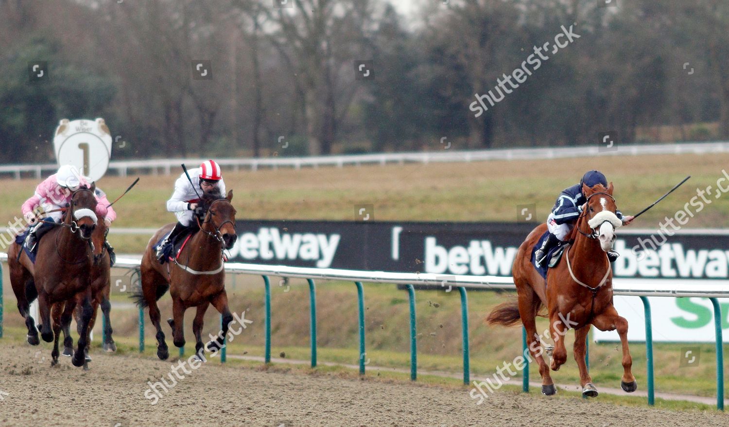 Harvey Dent Hollie Doyle Wins Ladbrokes Editorial Stock Photo - Stock ...