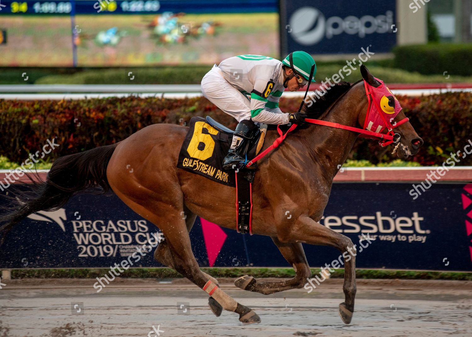 Aztec Sense 6 Ridden By Jockey Editorial Stock Photo - Stock Image ...