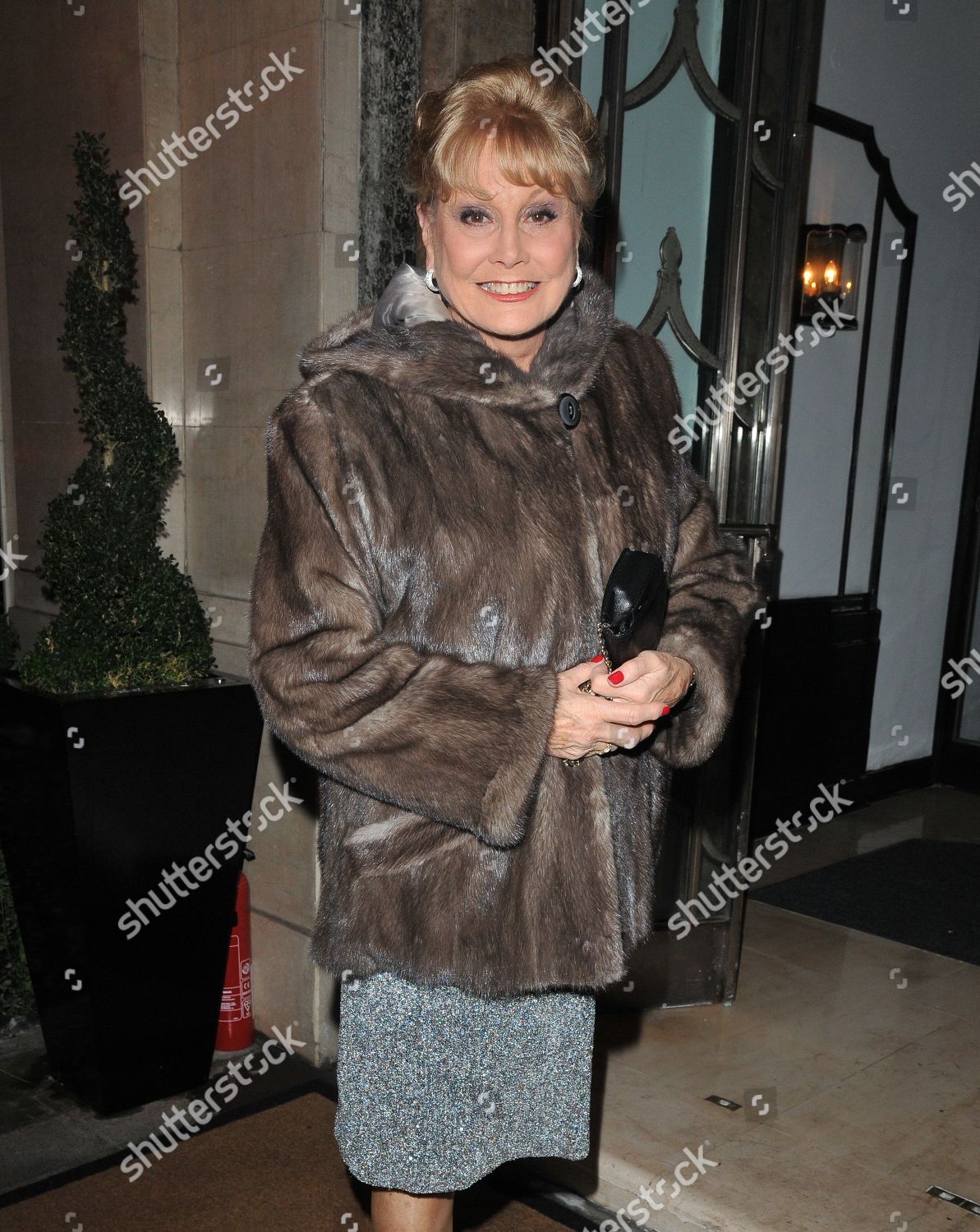 Angela Rippon Editorial Stock Photo - Stock Image | Shutterstock