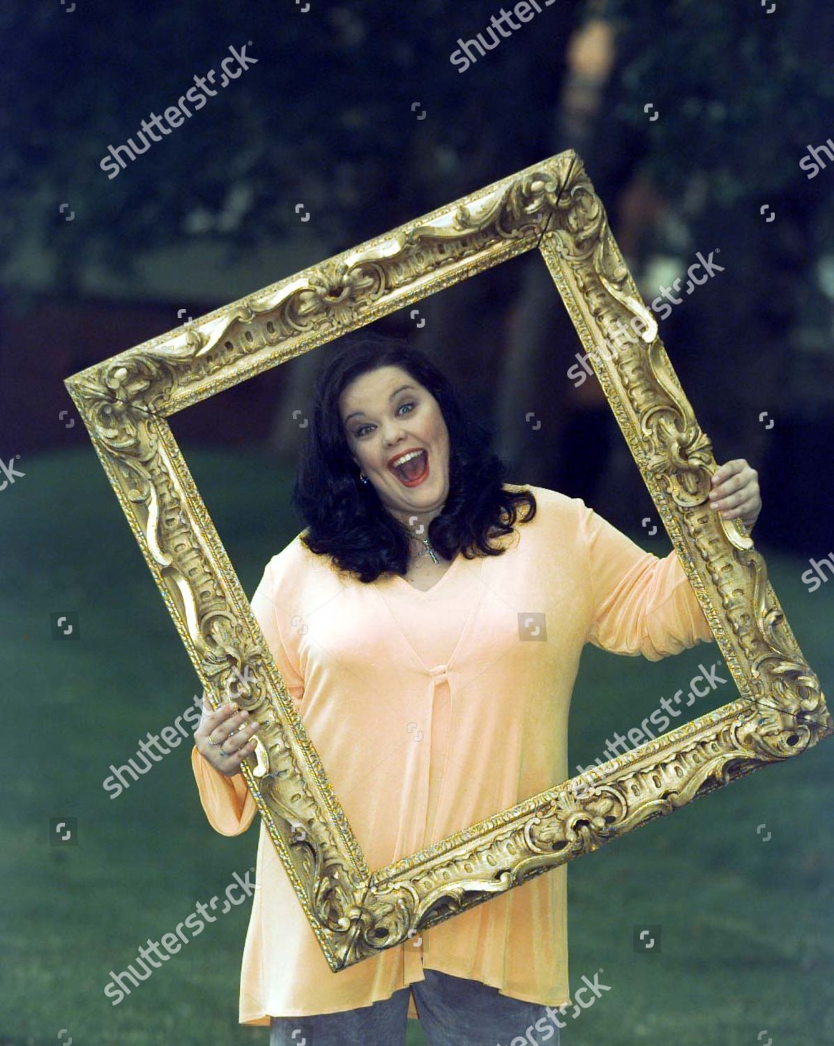 Television Programme Youve Been Framed Lisa Editorial Stock Photo ...