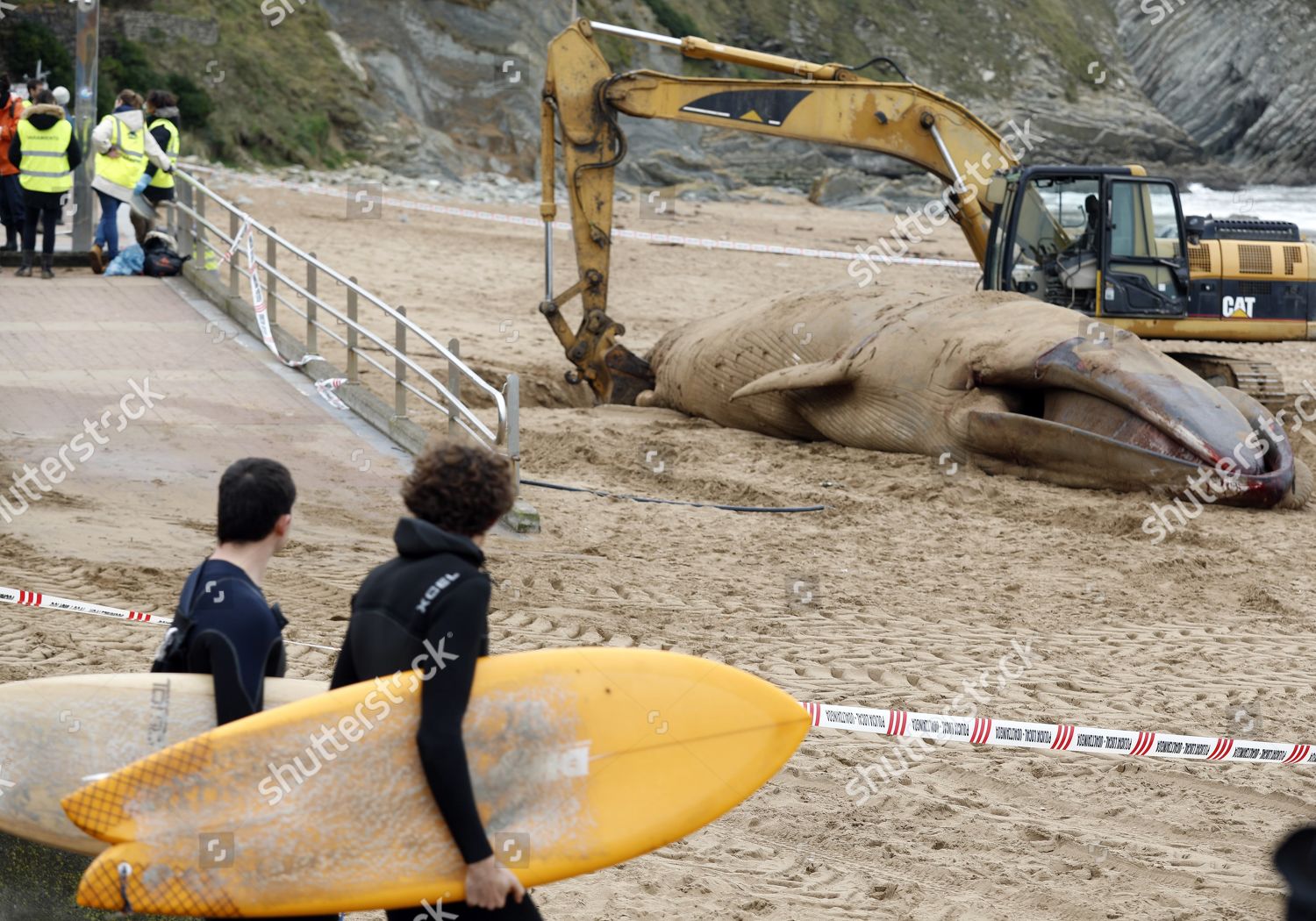 Workers Remove 16 Meter Long 22 Editorial Stock Photo - Stock Image ...