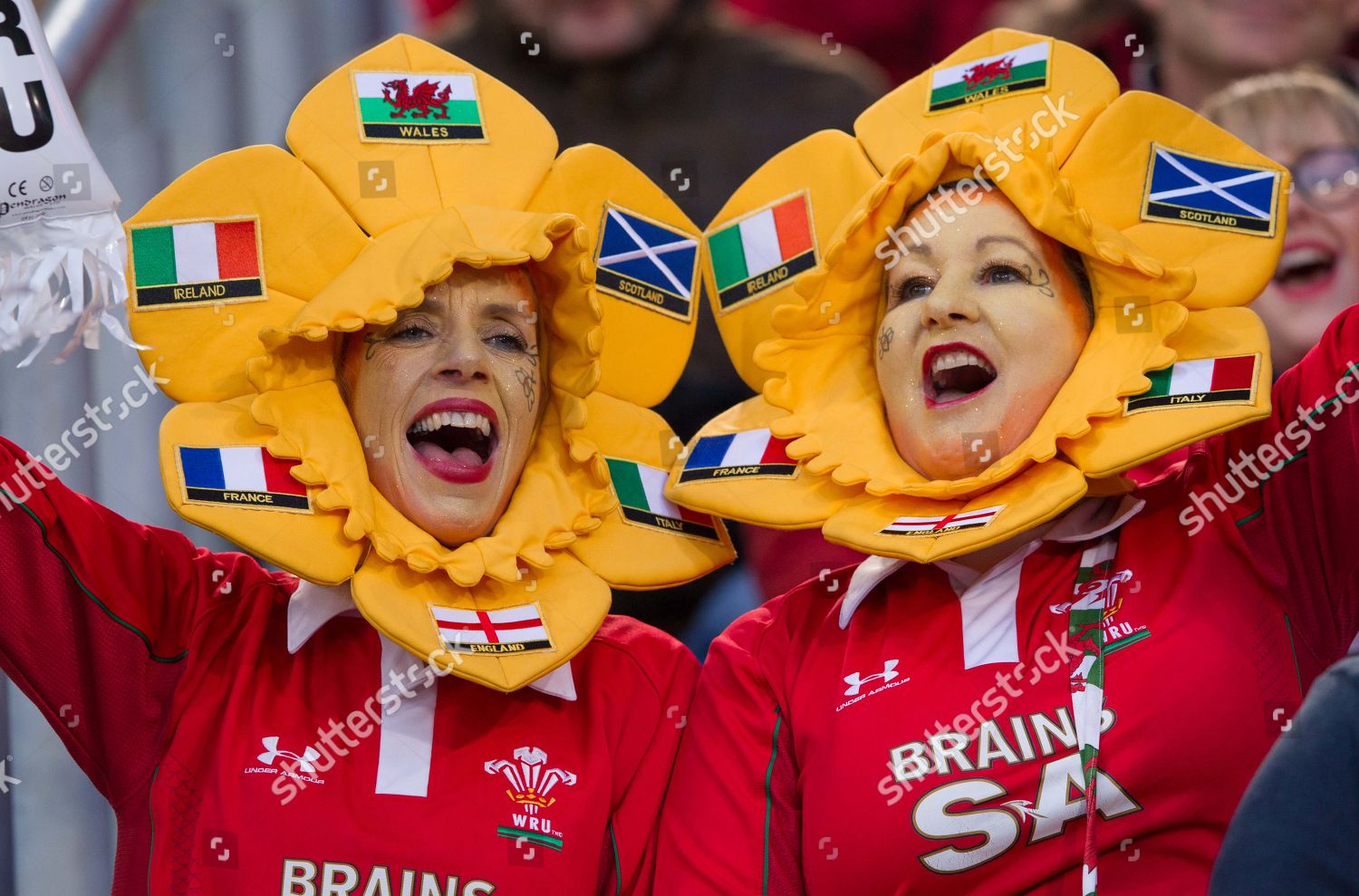 Welsh Fans Cheer On Their Team Editorial Stock Photo - Stock Image ...