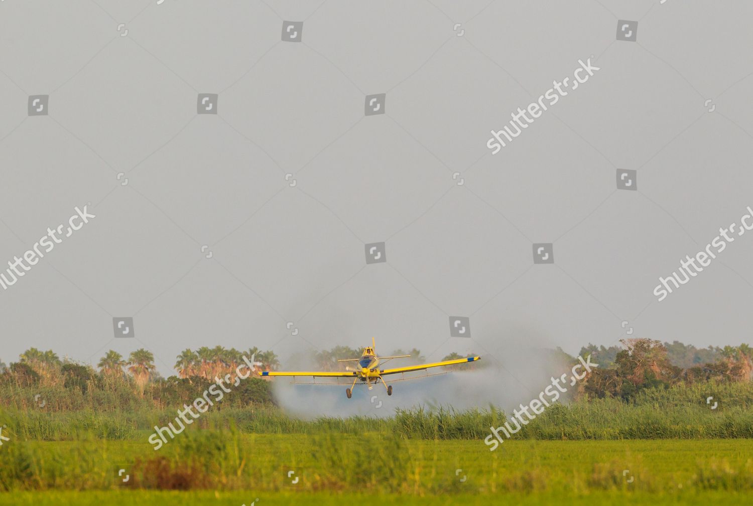 Crop Duster Plane Flying Low While Editorial Stock Photo - Stock Image ...