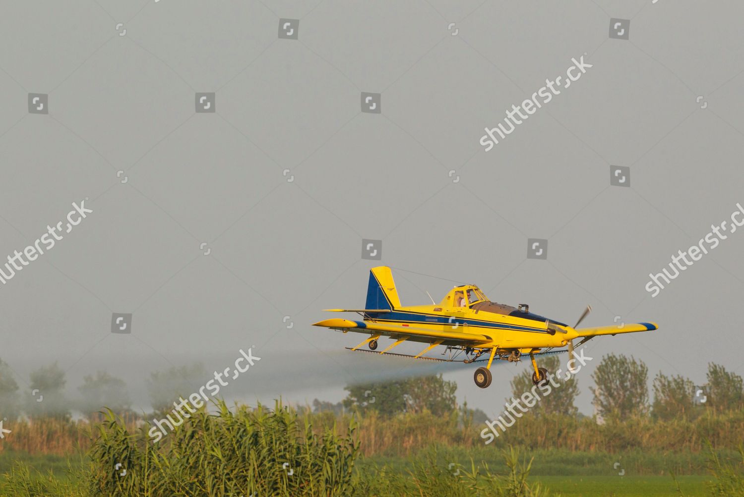 Crop Duster Plane Flying Low While Editorial Stock Photo - Stock Image ...