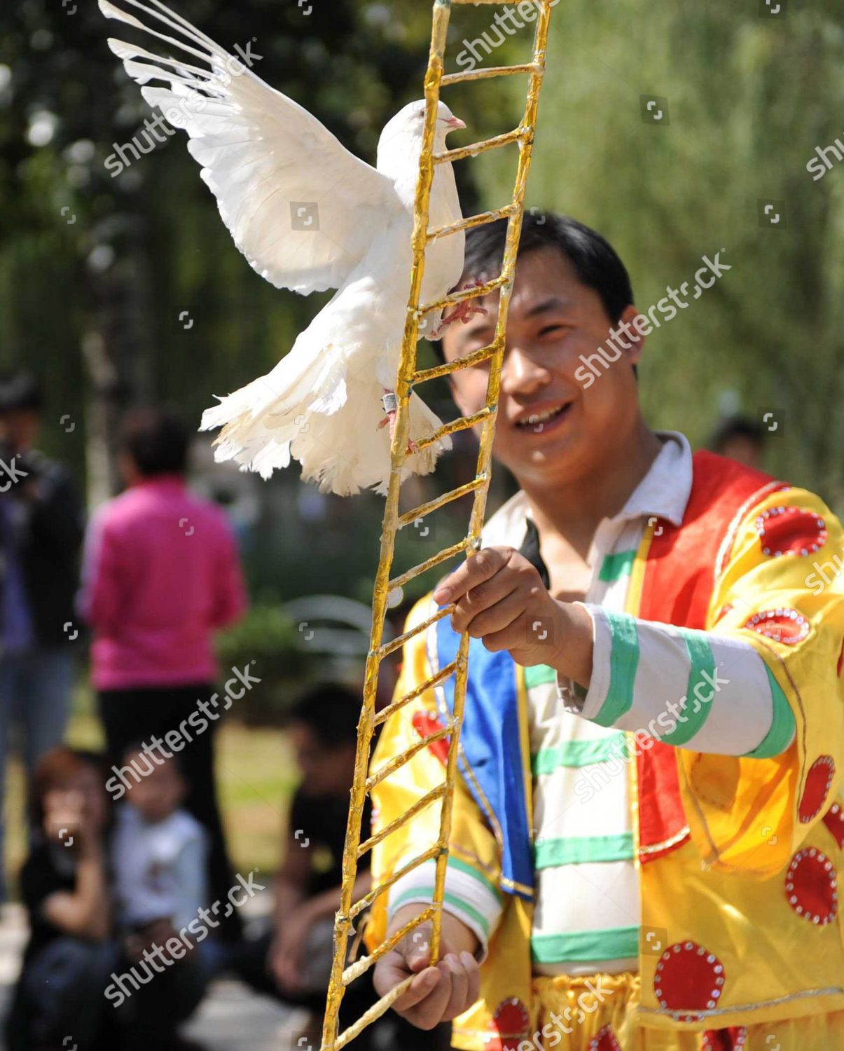 Pigeon Performer Practises Ladder Climbing Zoo Editorial Stock Photo ...
