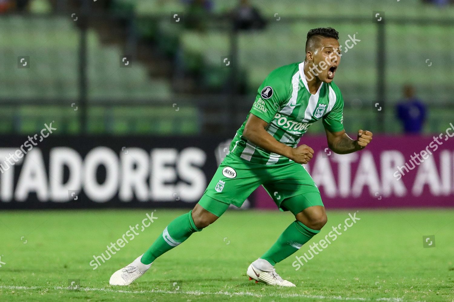 Sebastian Gomez Atletico Nacional Celebrates After Editorial Stock ...