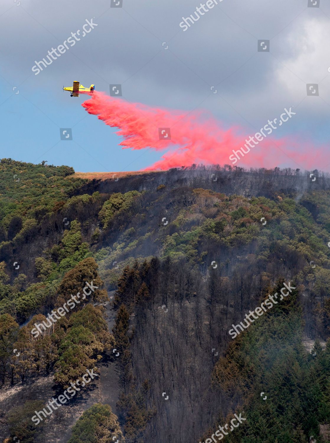 Helicopter Extinguishes Fire Near Nelson South Editorial Stock Photo ...