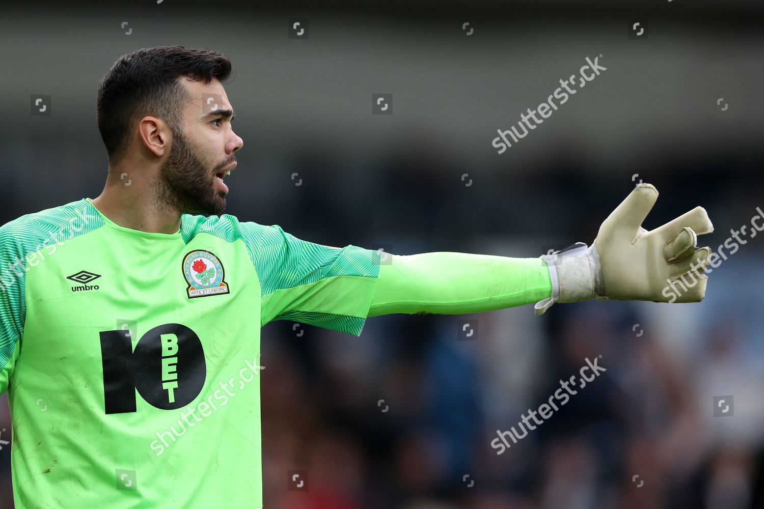 Blackburn Rovers Goalkeeper David Raya Martin Editorial Stock Photo ...